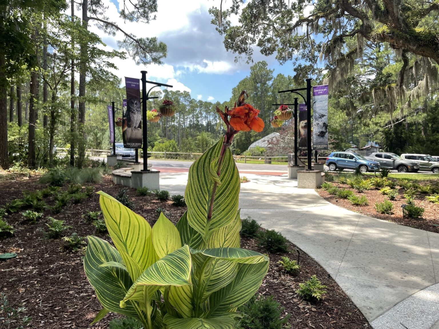 Environmental Concepts LLC | Our Work